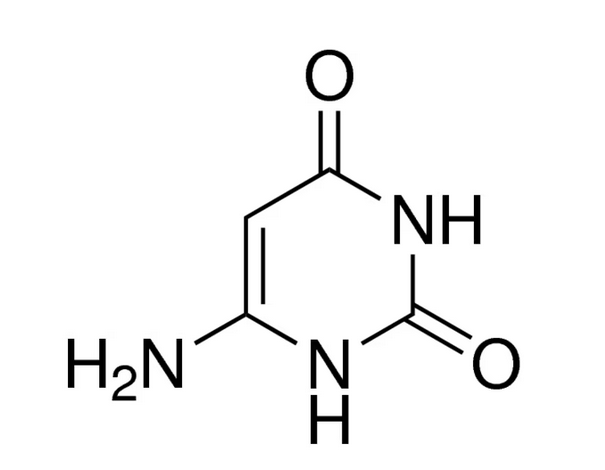 6- آمینواوراسیل کد A50606 / مرکز فروش مواد شیمیایی سیگما